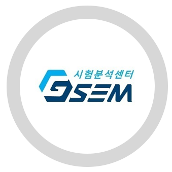GSEM
